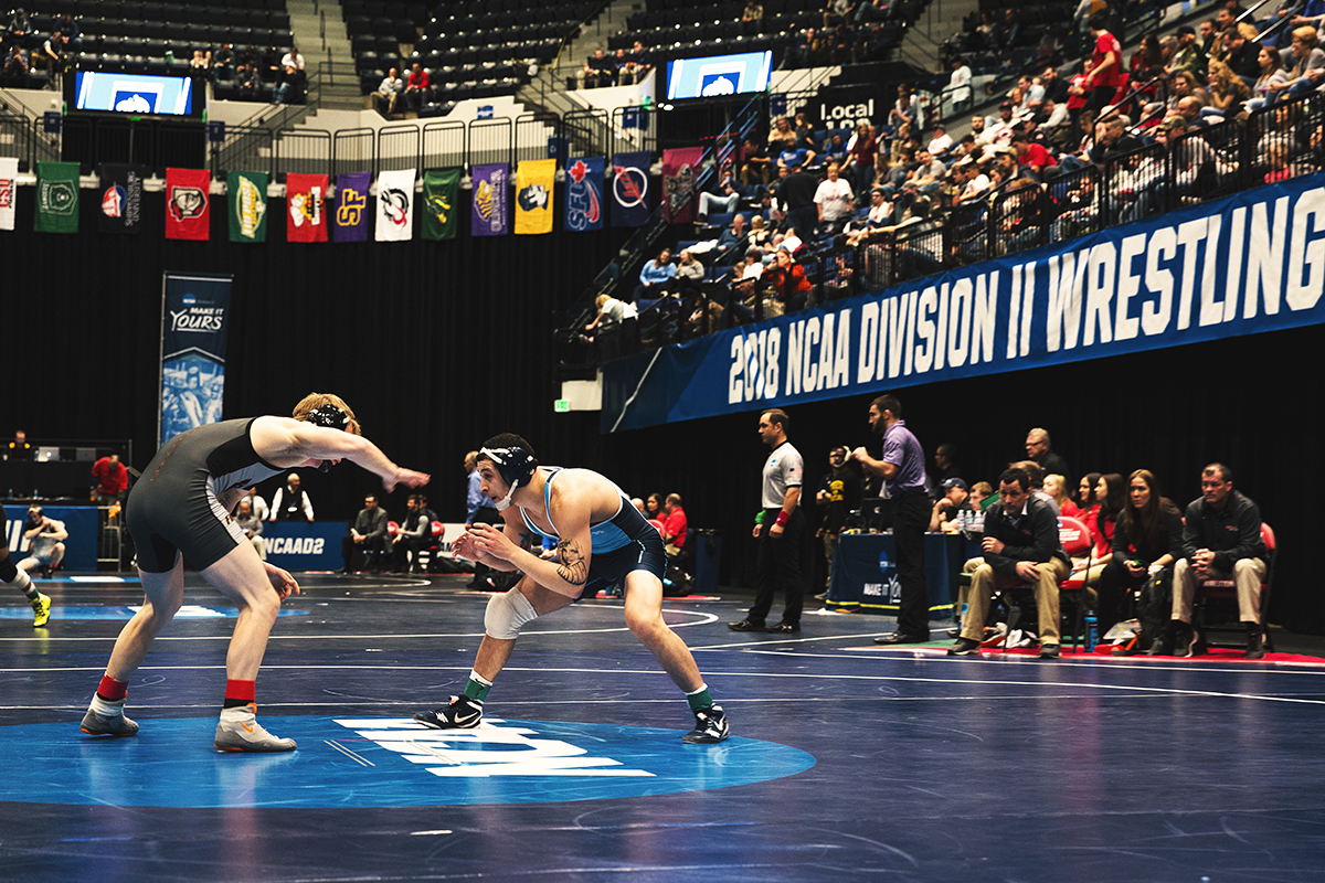 In the Fight | Sports Destination Management