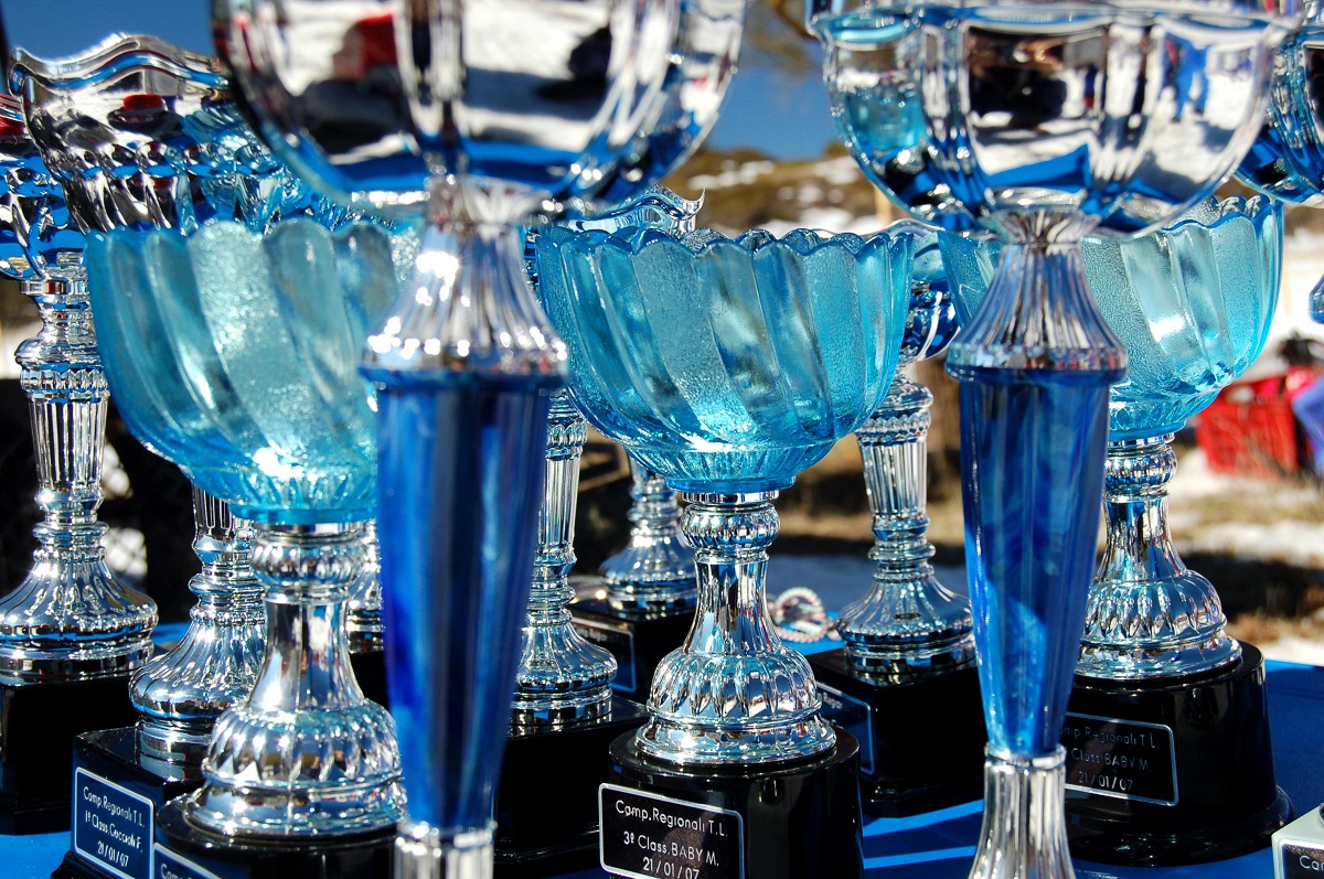 Rocky Top Sports World Receives The SFC Excellence Award | Sports ...