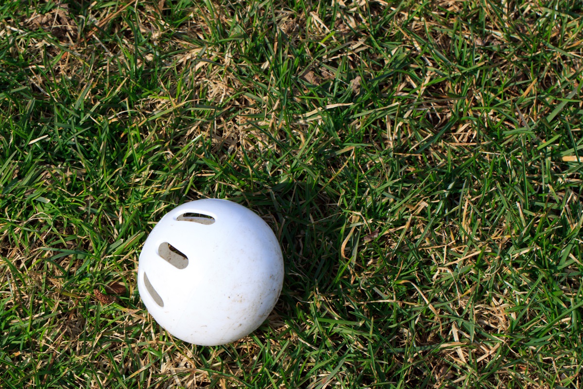 World Wiffle® Ball Championship Returning to the Hoosier State | Sports ...