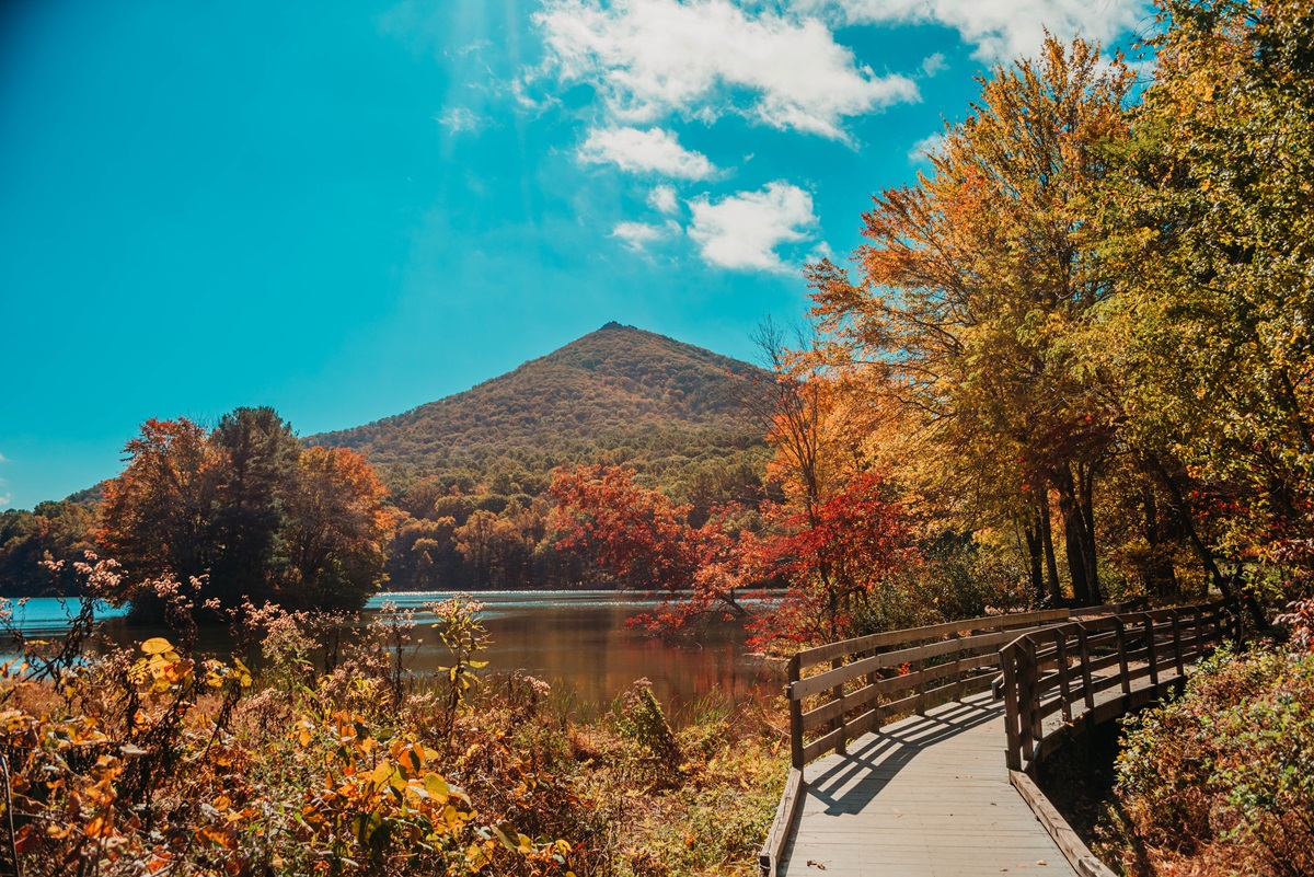 Blue Ridge Parkway Now Open in Virginia's Blue Ridge | Sports Destination Management