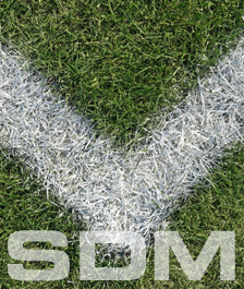 FieldTurf is the Choice For Northern Illinois' Huskie Stadium...Again ...